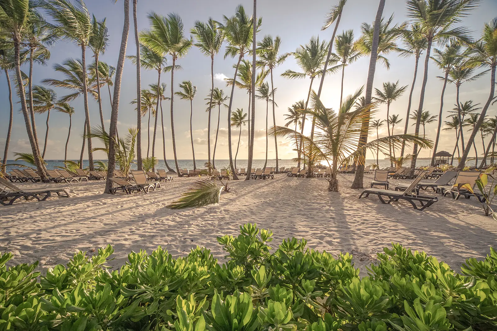 Collas Crill explains... Continuing a company out of the BVI | Collas Crill