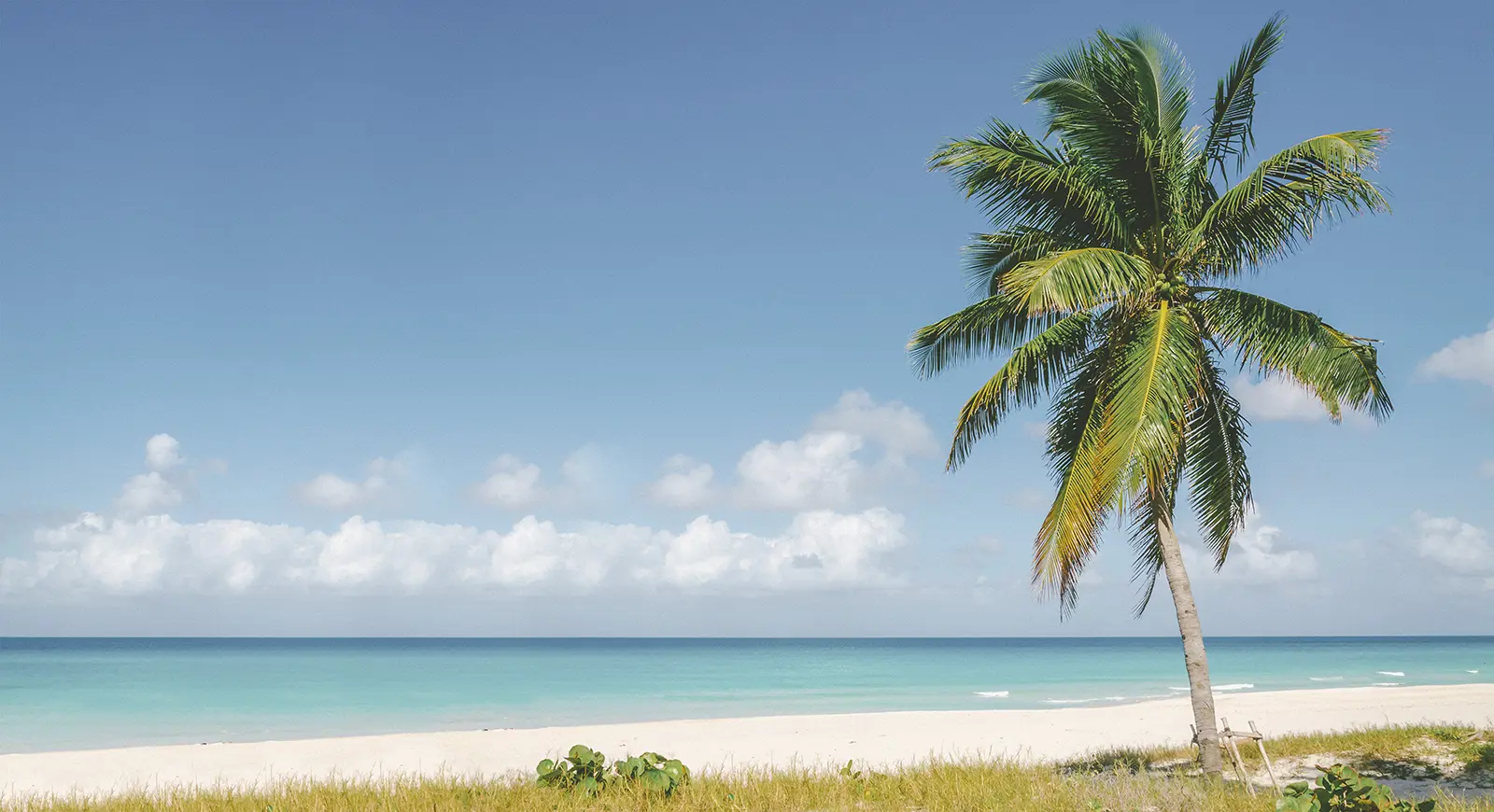 Collas Crill appoints Stephen Leontsinis as Cayman Managing | Collas Crill